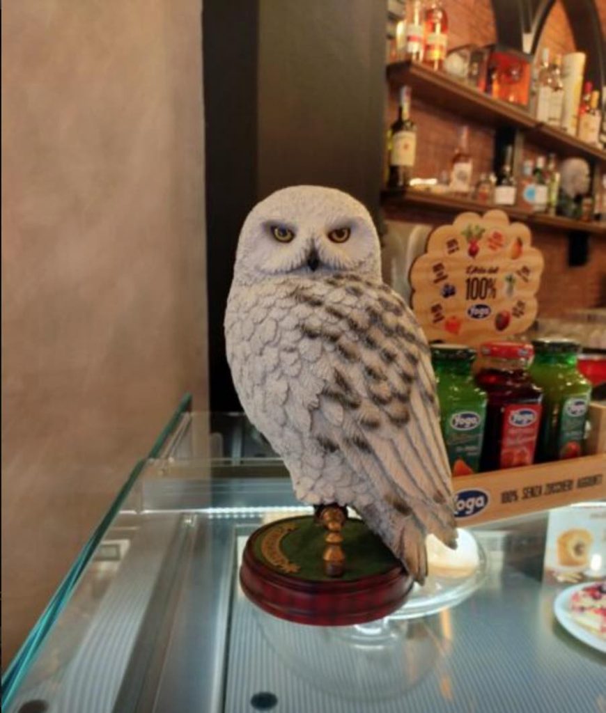 Hogwarts Café, il primo bar di Bari ispirato alla saga